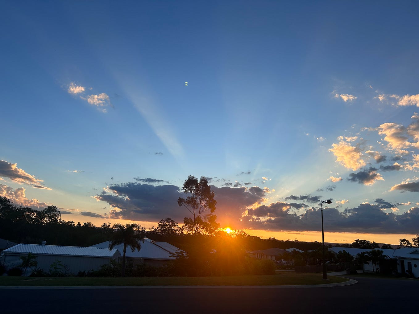 Miss - Riley - Medium