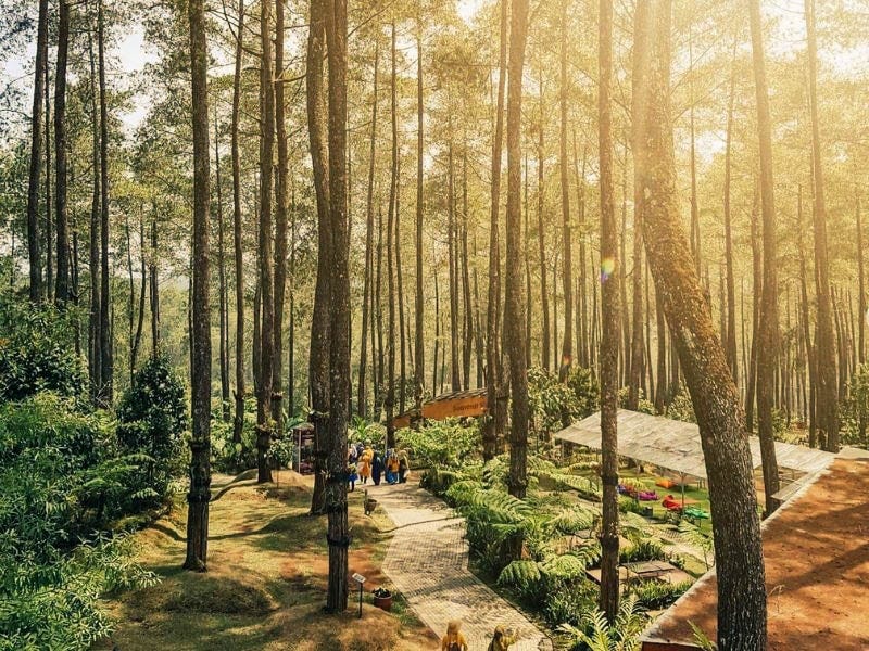 6 Wisata Kuliner Bandung, Recommended Banget! | by Suryarentcarmobil ...