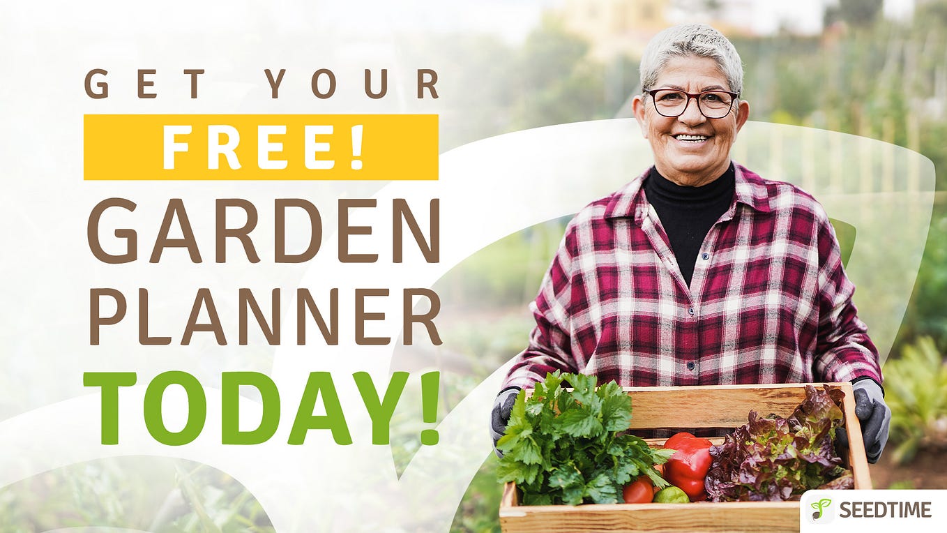 I Tried Seedtime’s Garden Planner — Here’s What Surprised Me Most | by ...