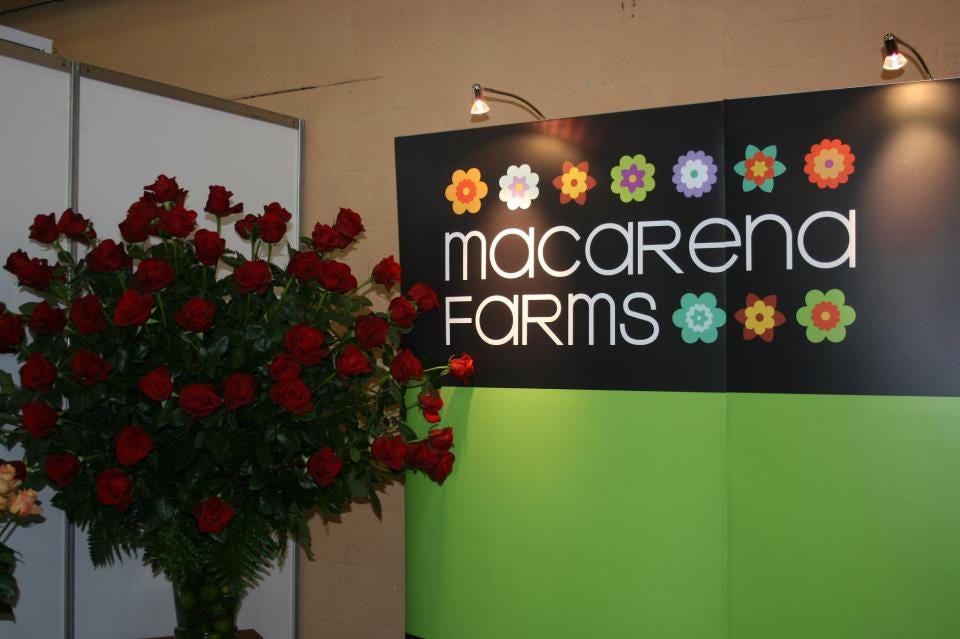 Colombian Roses varieties Online. Colombian Roses Varieties Online from ...