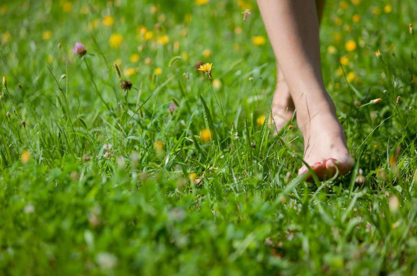 A Wealth of Common Sense: Time to Think for Yourself | by Novena's Pulse - Finding Clarity in a ...