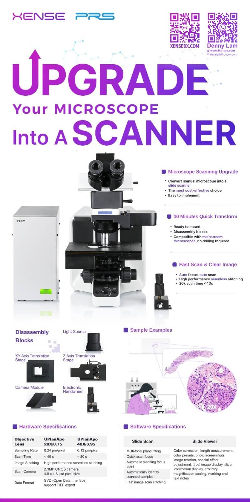 digital pathology-ihc-prs - IHC-PRS - Medium