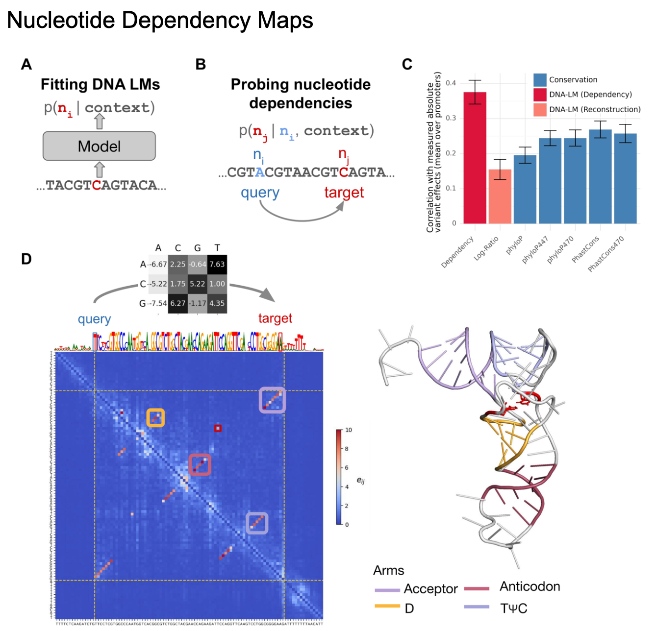 AutoModelForSequenceClassification for DNA Sequence Prediction Benchmarks | by Shosuke Suzuki ...