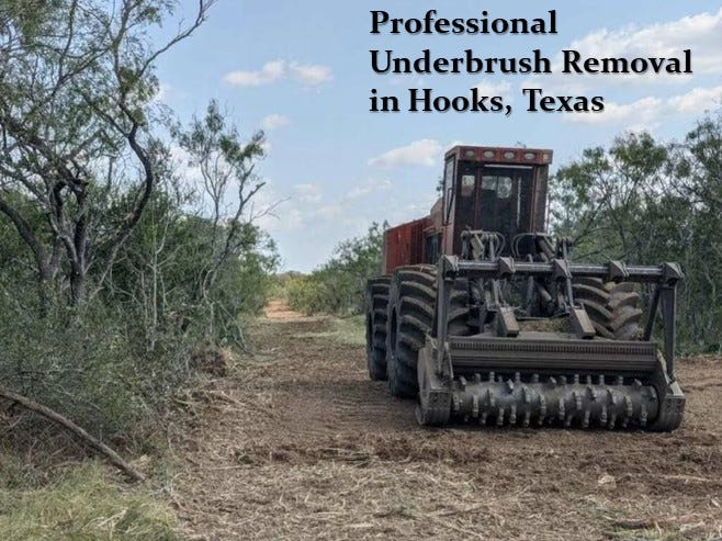 Why Land Clearing Services Are Essential for Property Development in ...