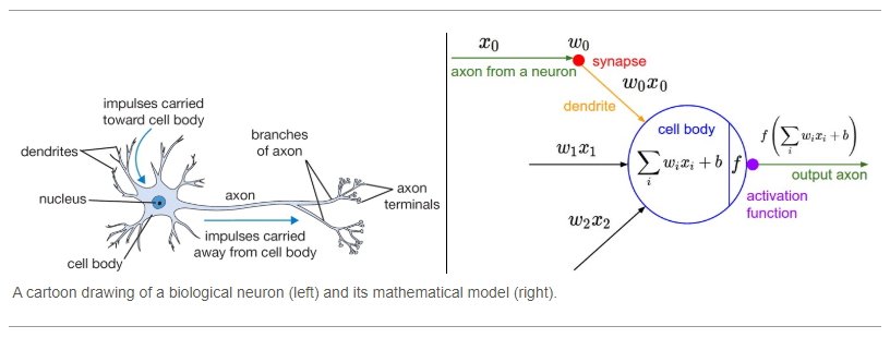 Self-Supervised GANs using auxiliary rotation loss | by Vandit Jain | TDS Archive | Medium