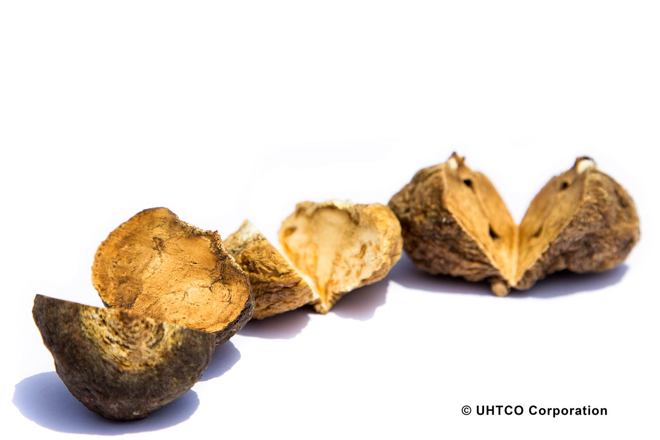 CONOZCA A SU ALTEZA REAL: LA RAÍZ DE MACA DE PERÚ | by Jorge Urena ...