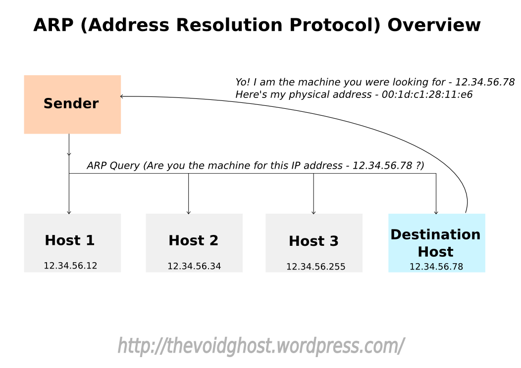 Solving The Prompt Airlines Ctf A Brief About The Llm Ctf Challenge By Hackerdevil Infosec 4496
