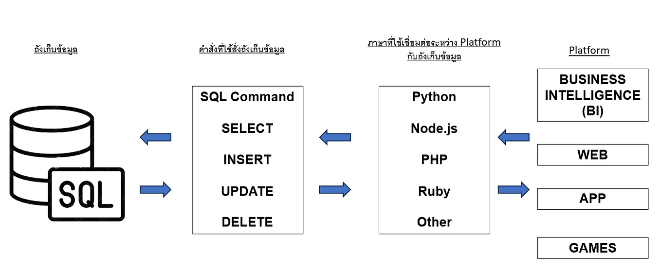 Part 2.Make Sales Performance Dashboard on excel & using pivot table / power pivot / power query ...