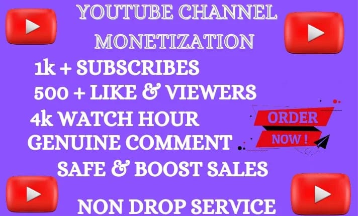 I will boost USA youtube promotion, complete yt growth, organic channel ...