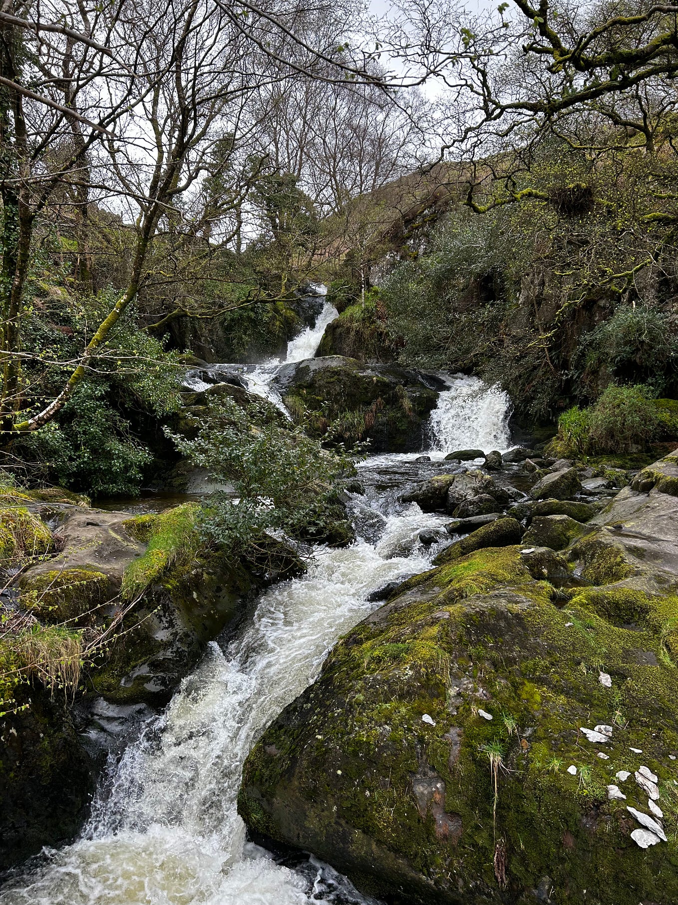 My Heart and the Ross Method 2. My year so far | by Sarah Liz | Medium