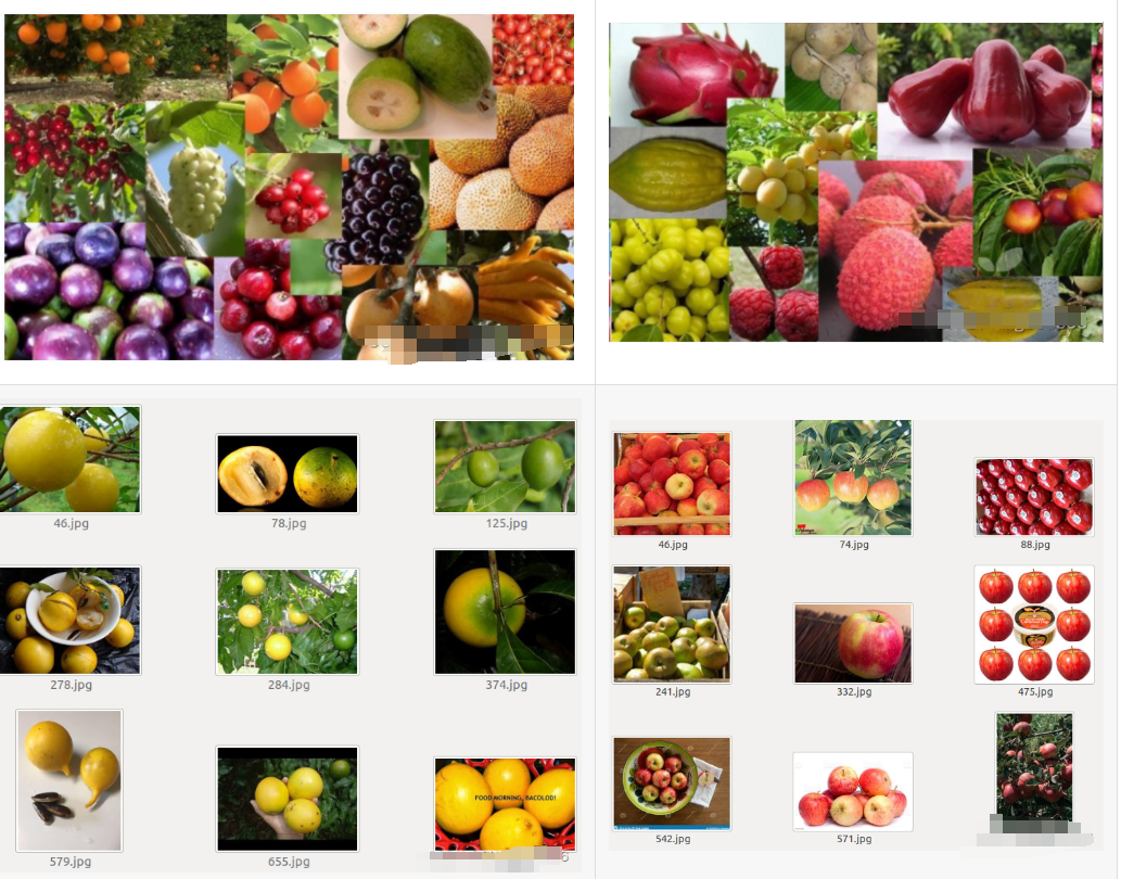 Building Simple and Customizable Image Classifier with Teachable Machine and Python | by Meqdad ...