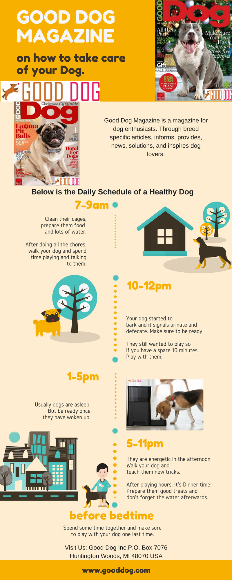 Buy Online Dog Magazines. Buy Online Dog Magazines and get… | by Good ...