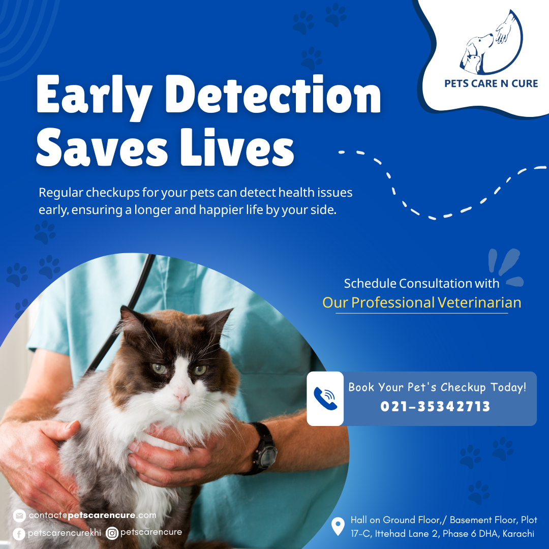 Vet Clinic in Defence - Pet's Care & Cure - Medium