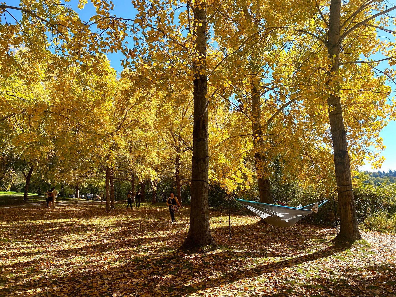 How grand the world must be. From the eyes of little Spree | by Nova ...