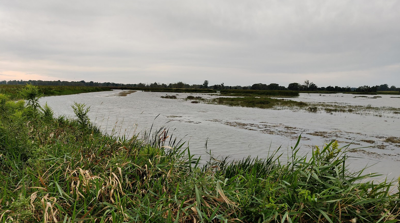 Snowflake Python Series 2: Set Session Parameters Using .env File | by Debi Prasad Mishra ...