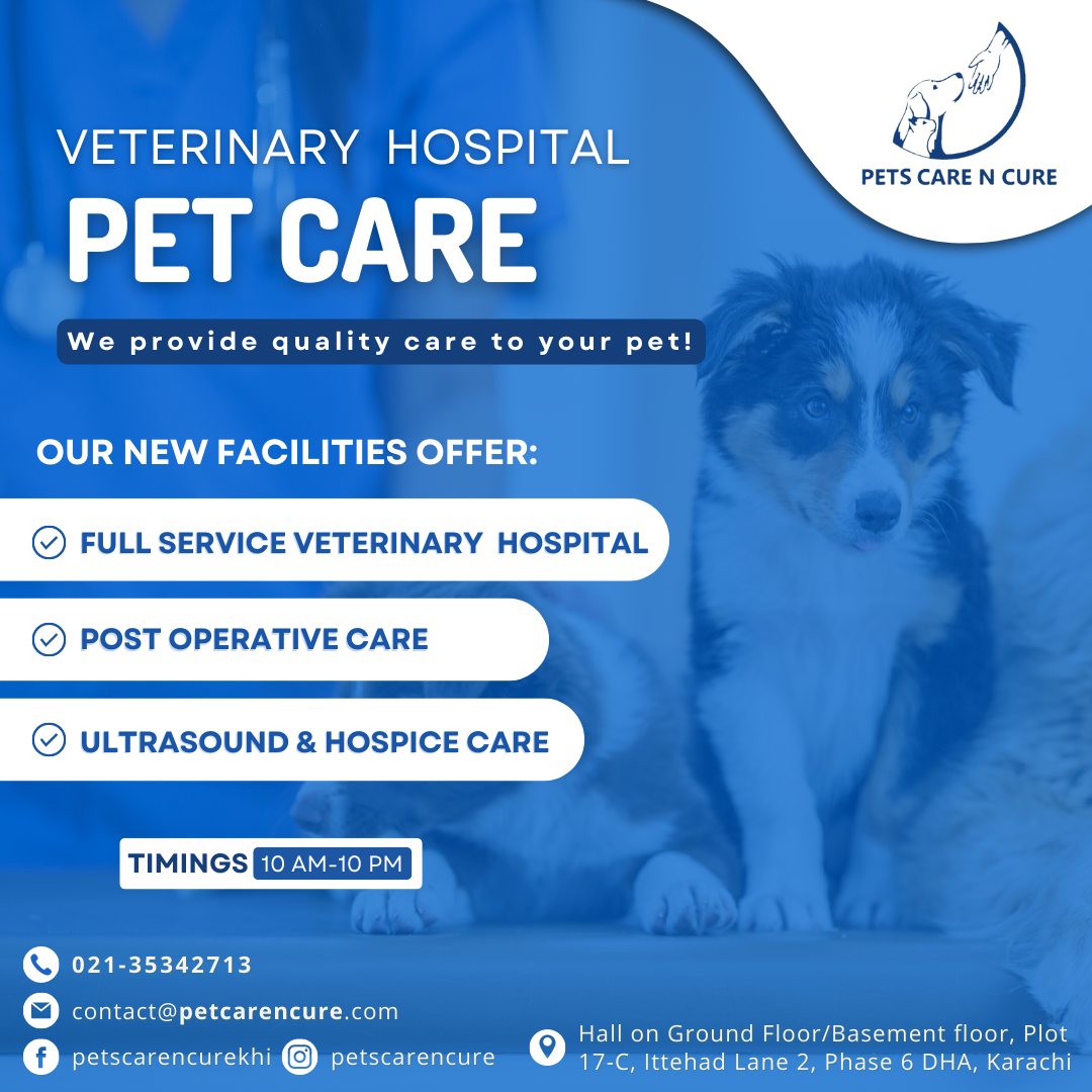 Animal Hospital in Karachi - Pet's Care & Cure - Medium