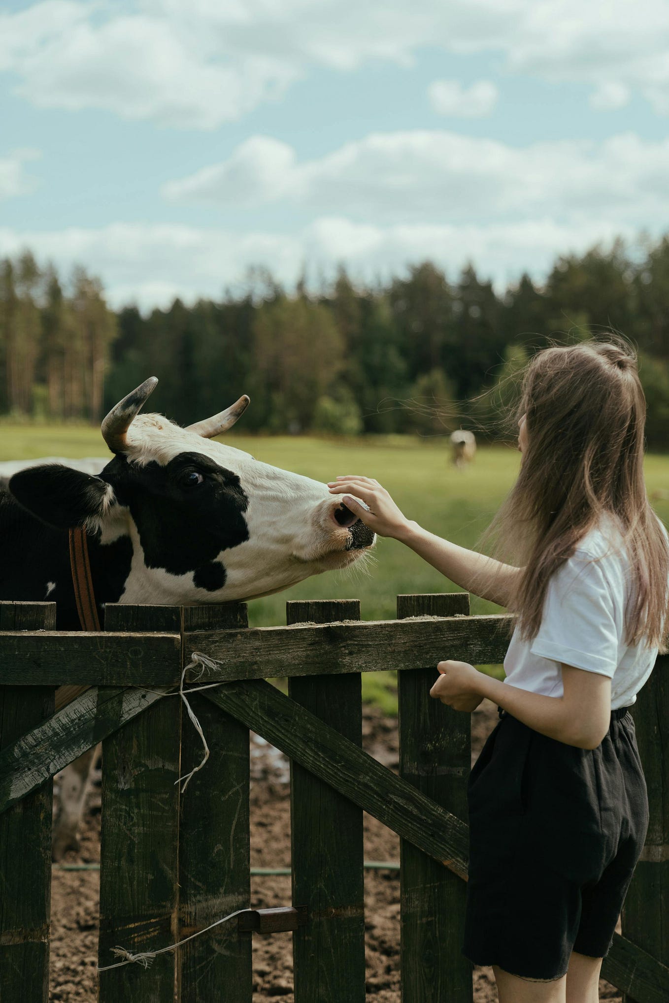The Other Side. Just cross the road and you will find | by Gerry Everaert | Entropies | Jun ...