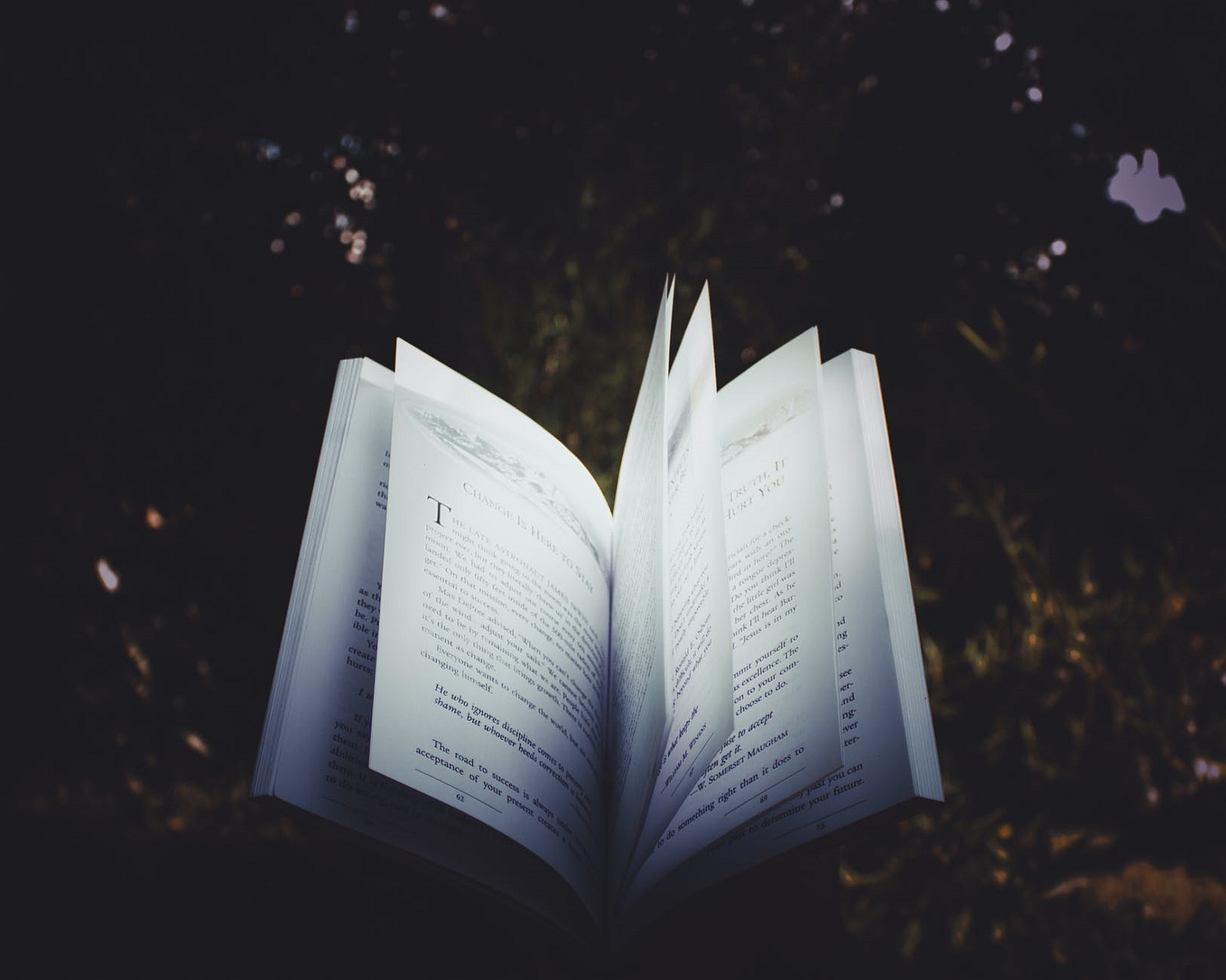 The Components of Writing.. Striking a balance on the page. | by Jade Gage | Medium