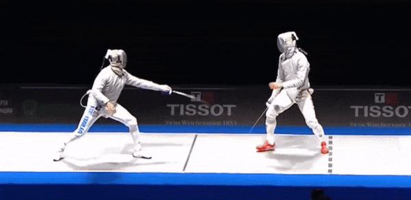 Fencing Incompleteness Theory. Fencing has an implied kill or be… | by ...