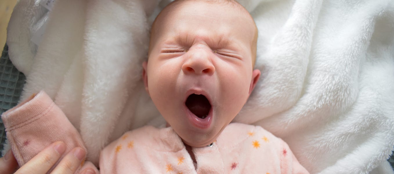 Simple to use dynamic form-generator powered by Blazor | by Alex Knijf ...