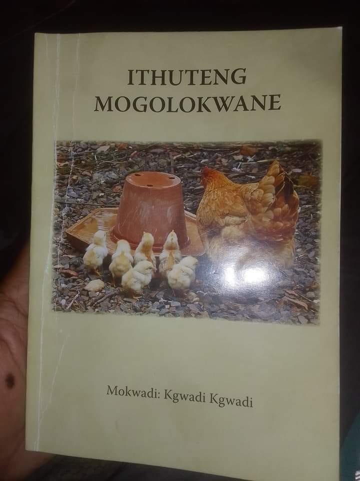 Welcome To Our Hillbrow by Phaswane Mpe Book Review . | by Obakeng ...