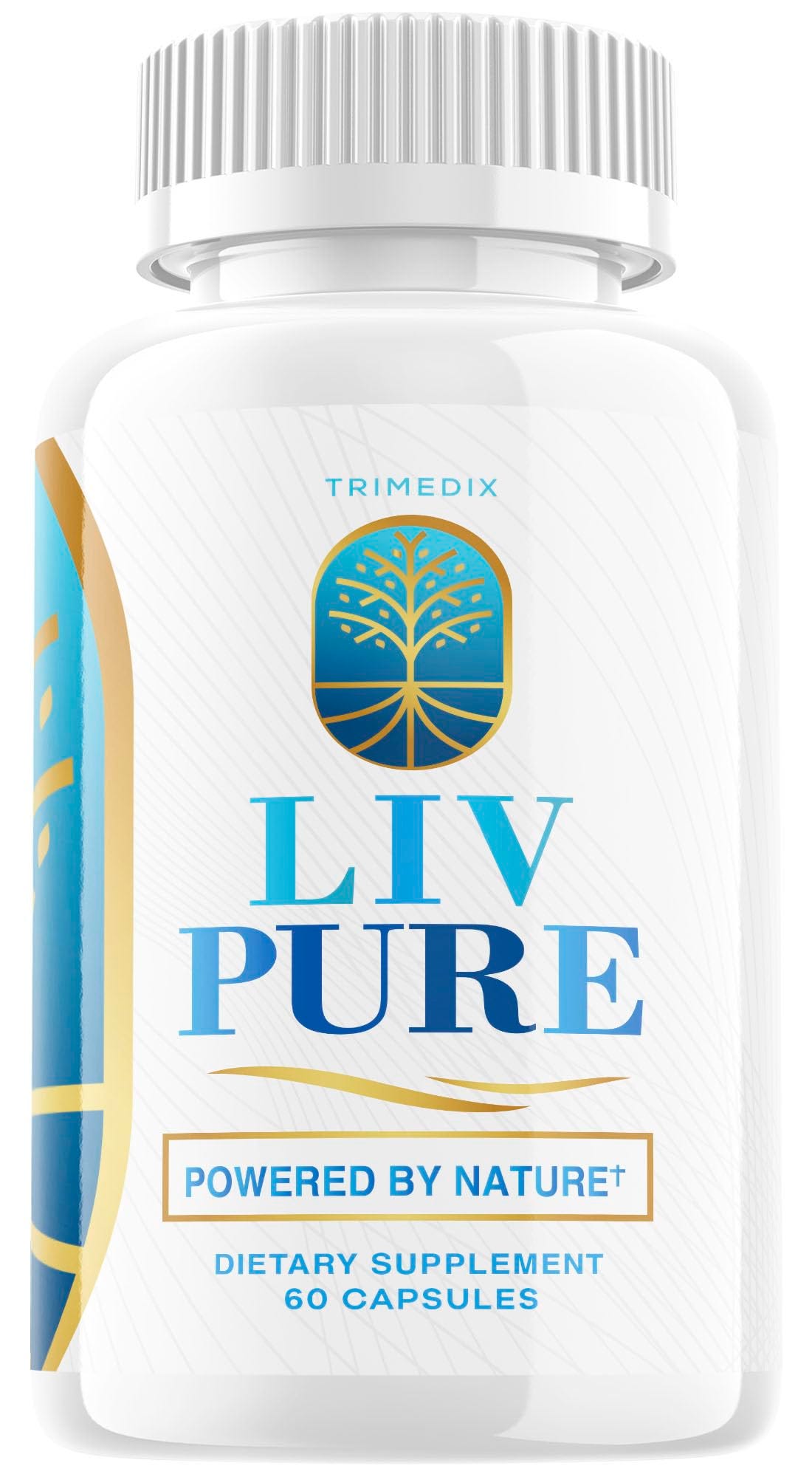 health & fitness - Casityjason - Medium