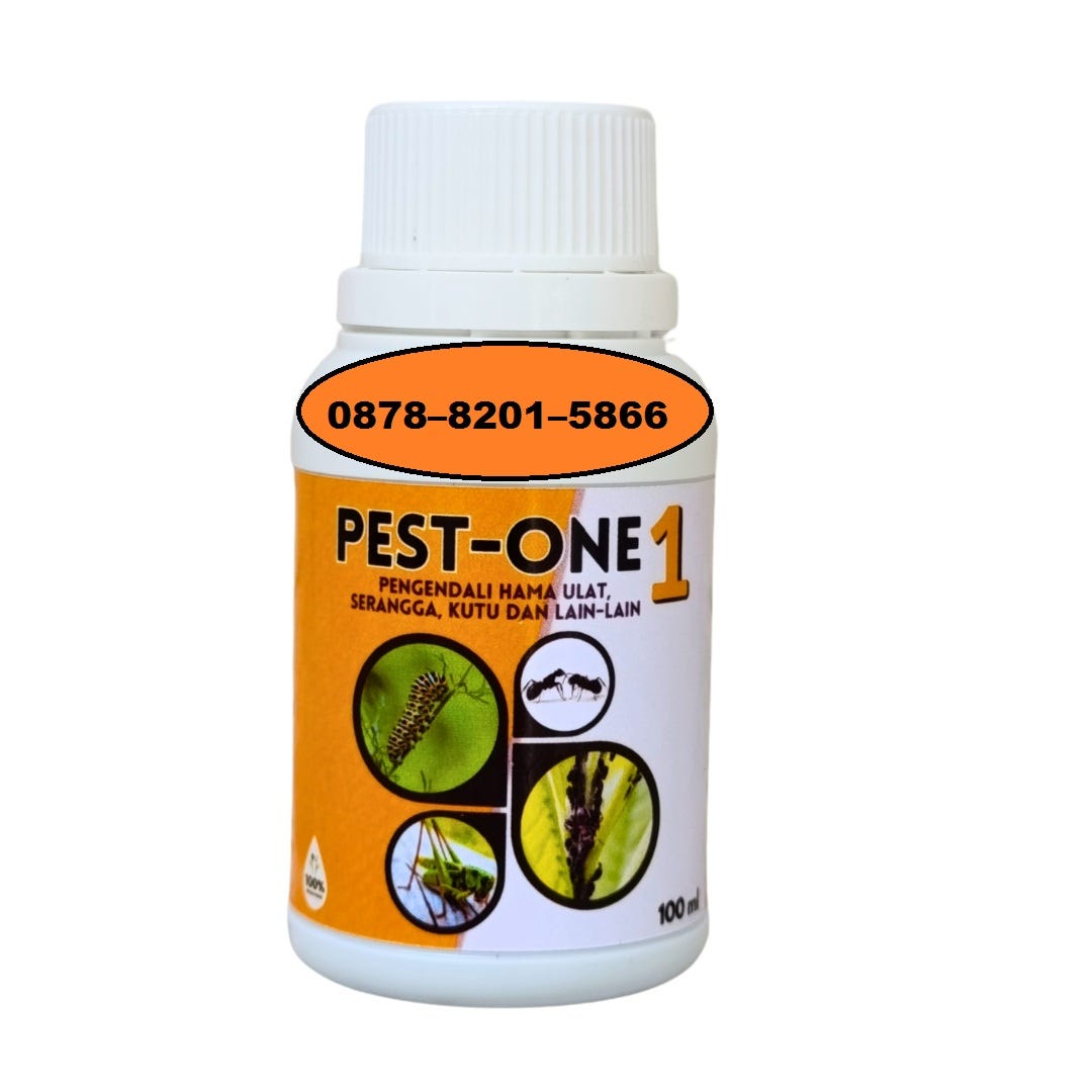 AMPUH, Call 0878–8201–5866, Jual Pestisida Organik Untuk Tanaman Sayur ...