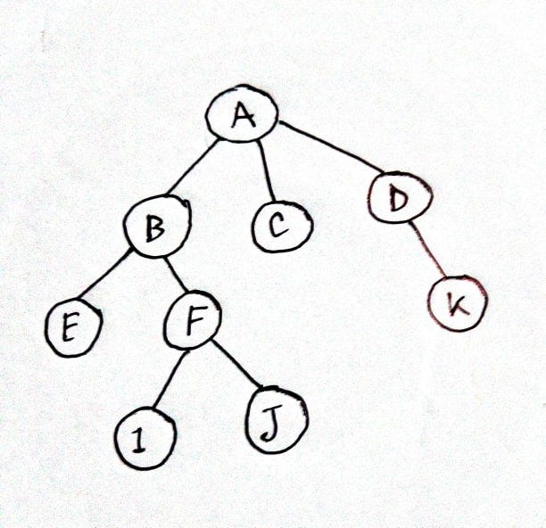Doubly Linked List Implementation in C++ | by Shaila Nasrin | Learn ...
