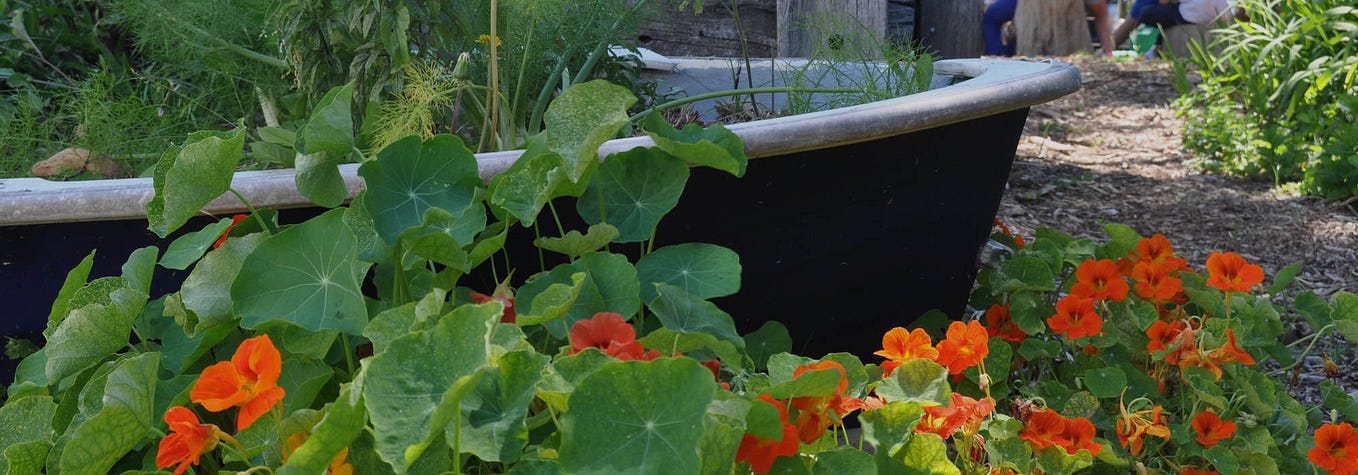 Northern Beaches Landscape Architect Brings the Best Plan for Landscape ...