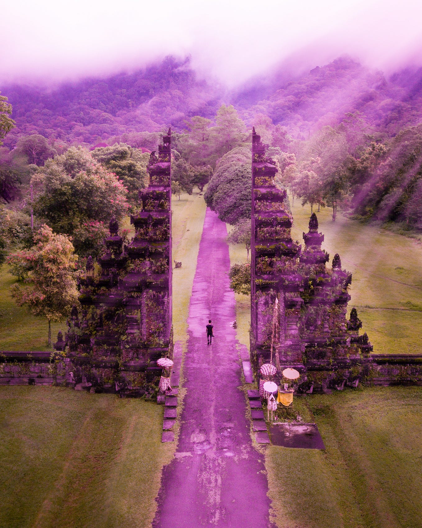 Bitter Solitude. An essay about solitude in the midst of… | by Harvy Lu ...
