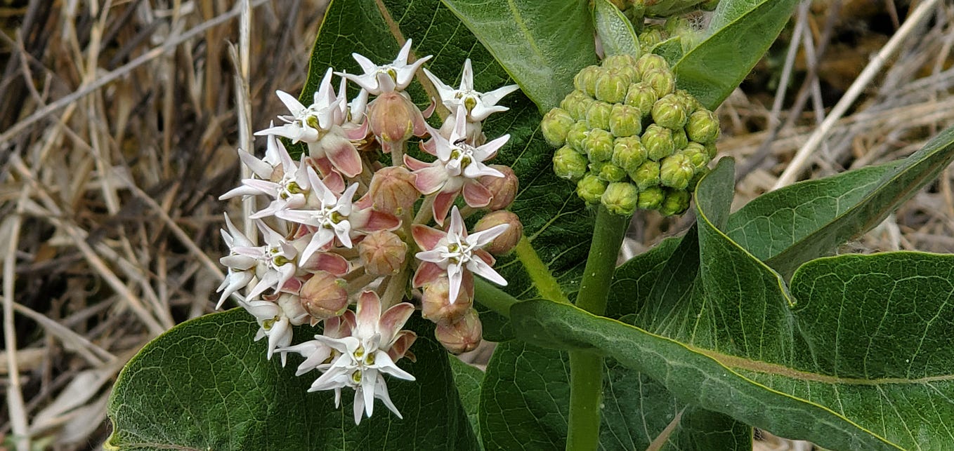 Build A Tiny Compiler In Java Are You Googling The Questions How To By 一个 Javarevisited