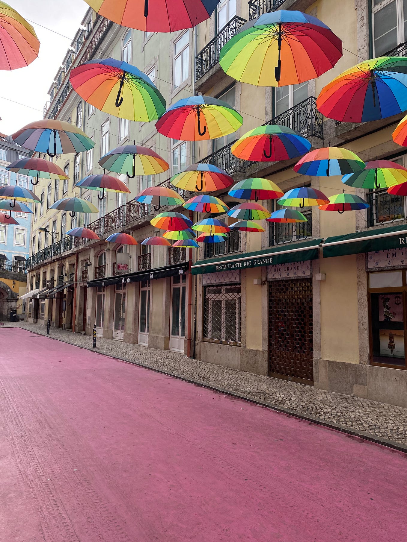 How a Flower Became the Symbol of Portugal’s Peaceful Revolution ...