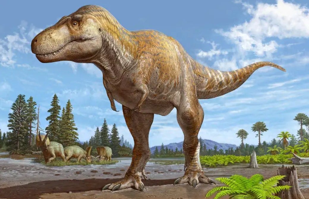 Barinasuchus: The Largest Terrestrial Predator of the Cenozoic | by ...