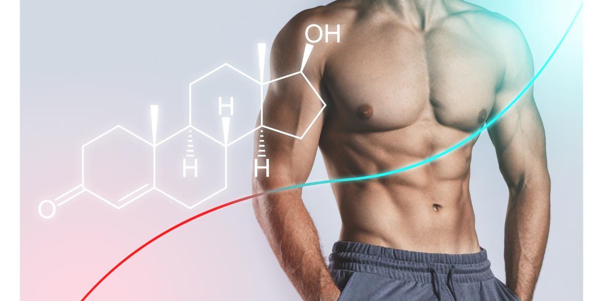 The Ultimate Guide to Increasing Testosterone Naturally: Foods ...