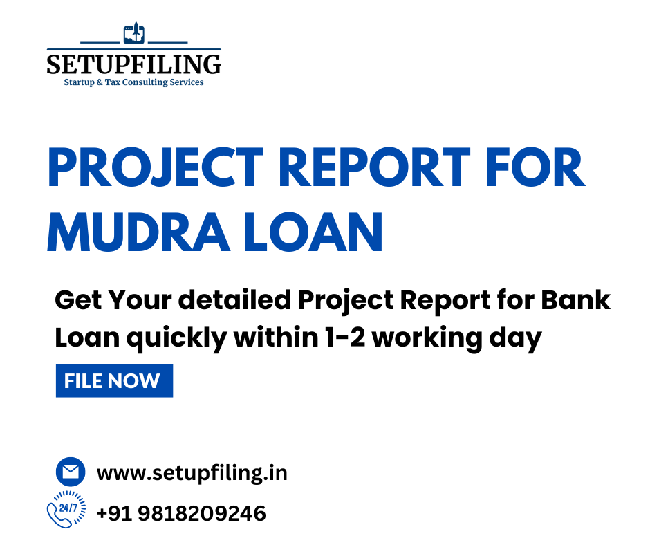 Project Report for PMEGP Loan: A Comprehensive Guide | by Pundareek ...