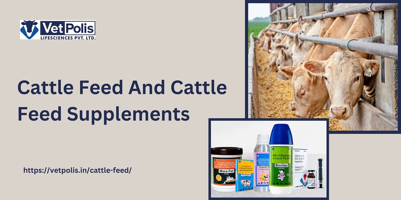 Affordable Cattle Feed Supplements - Veterinary Injection - Medium