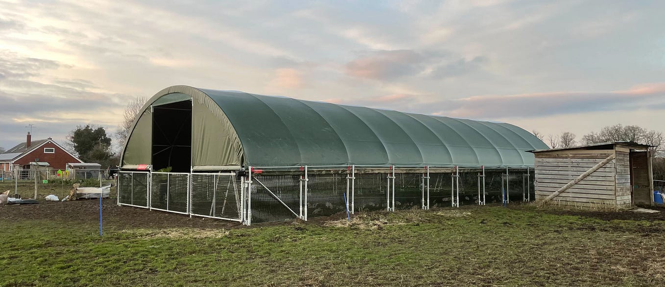 How a robust livestock housing shelter can meet cattle housing ...