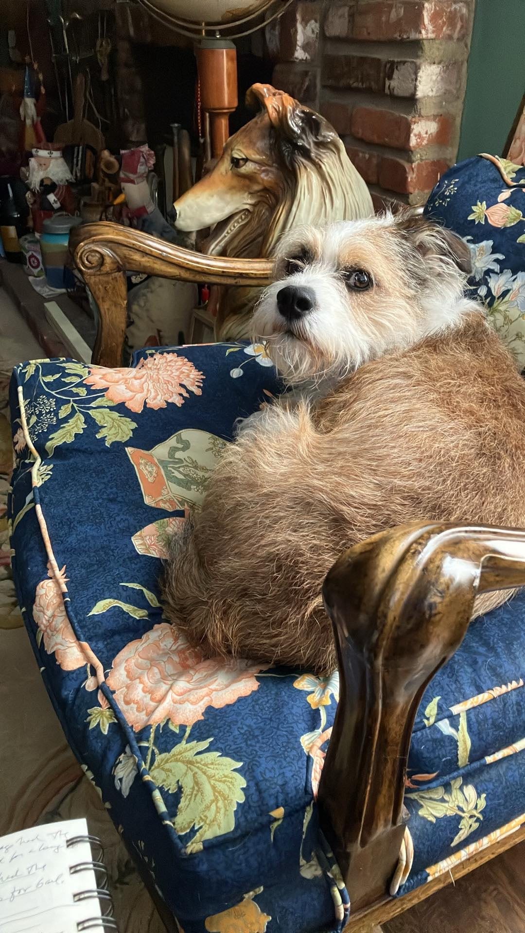 When Simple Moments Bring Great Joy: Watching the Rain Showers | by ...