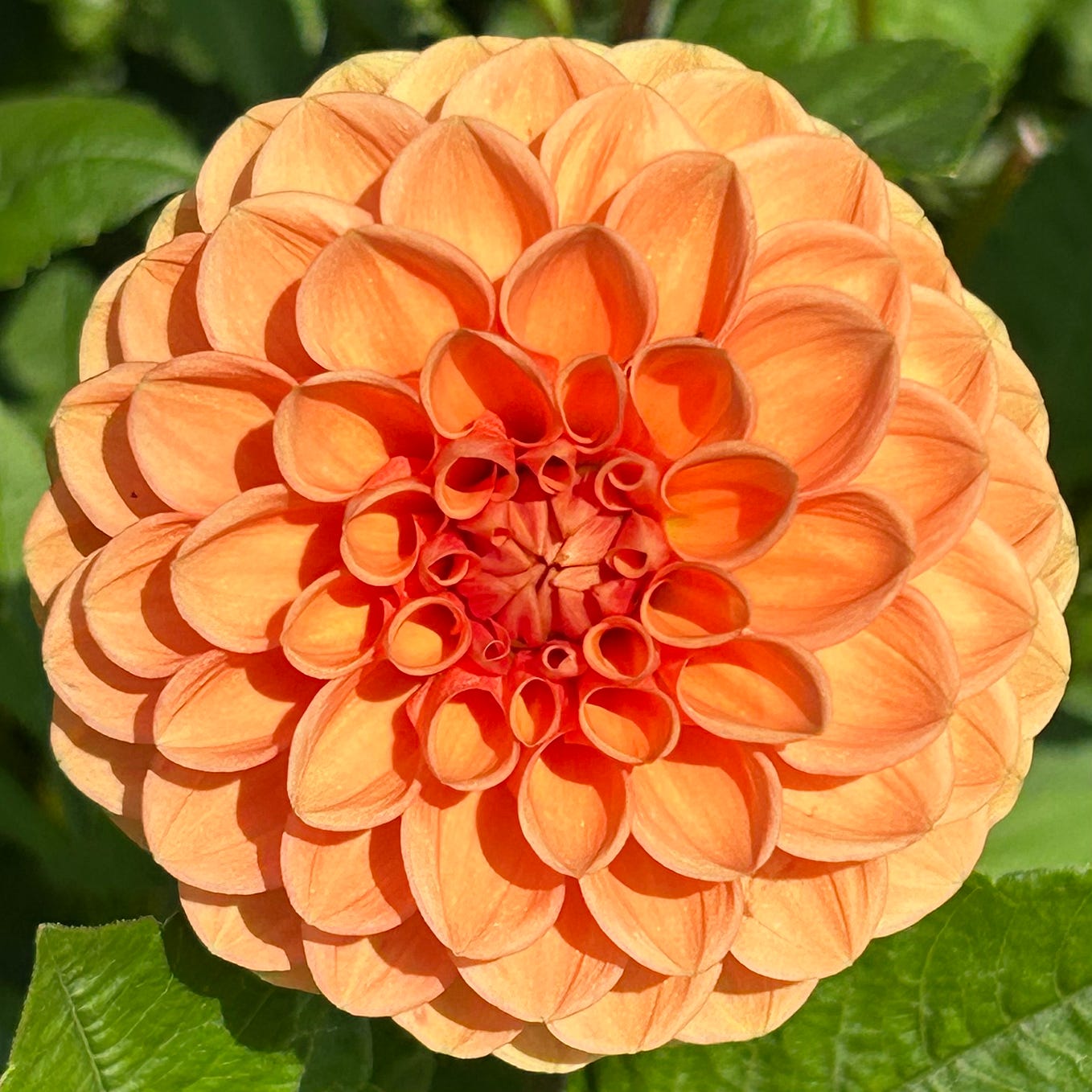 Editing to add: the ‘how’ for me has been extensive therapy. | by Emma ...