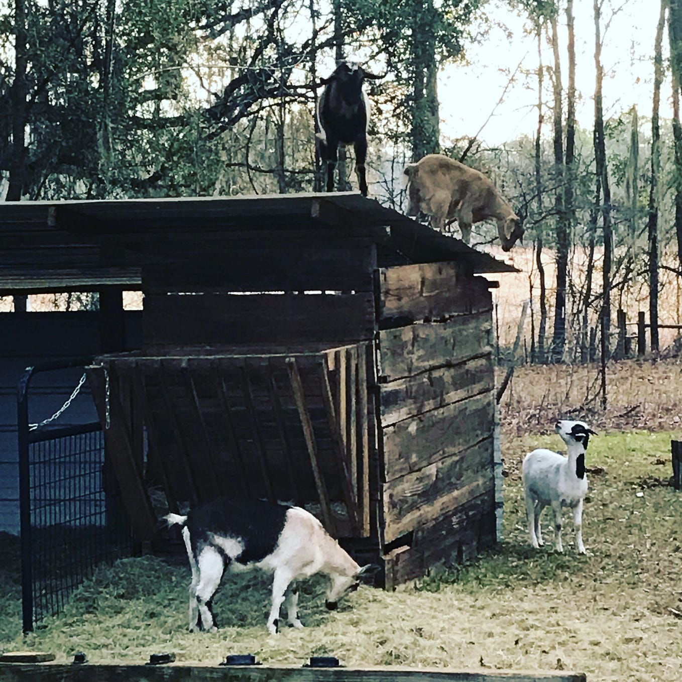 A Brief History of Biofeedback. Bio-information comes in many forms ...