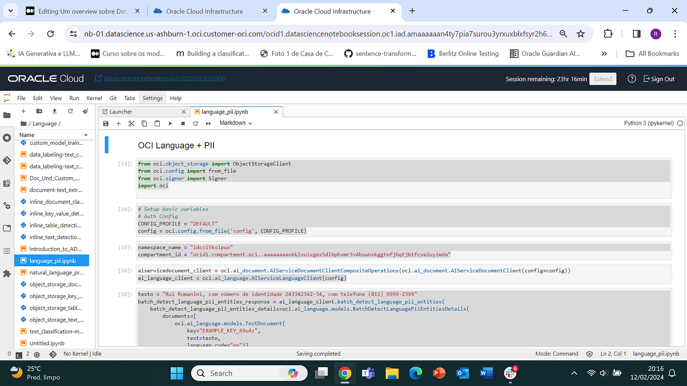 Analisando documentos com OCI Parte 1 — Generative AI | by Rui Romanini | Medium