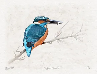 Creating Stunning Digital Art with Wacom: Revolutionizing Computer ...