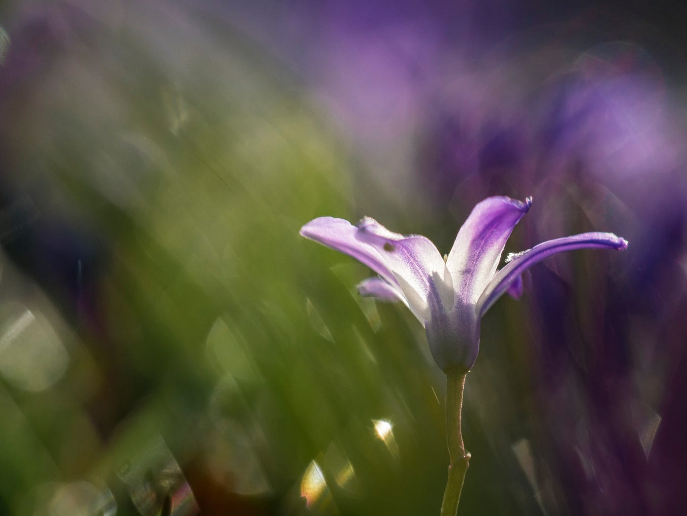 The Beatitudes: a paraphrased reflection | by Edie MacPherson | Medium