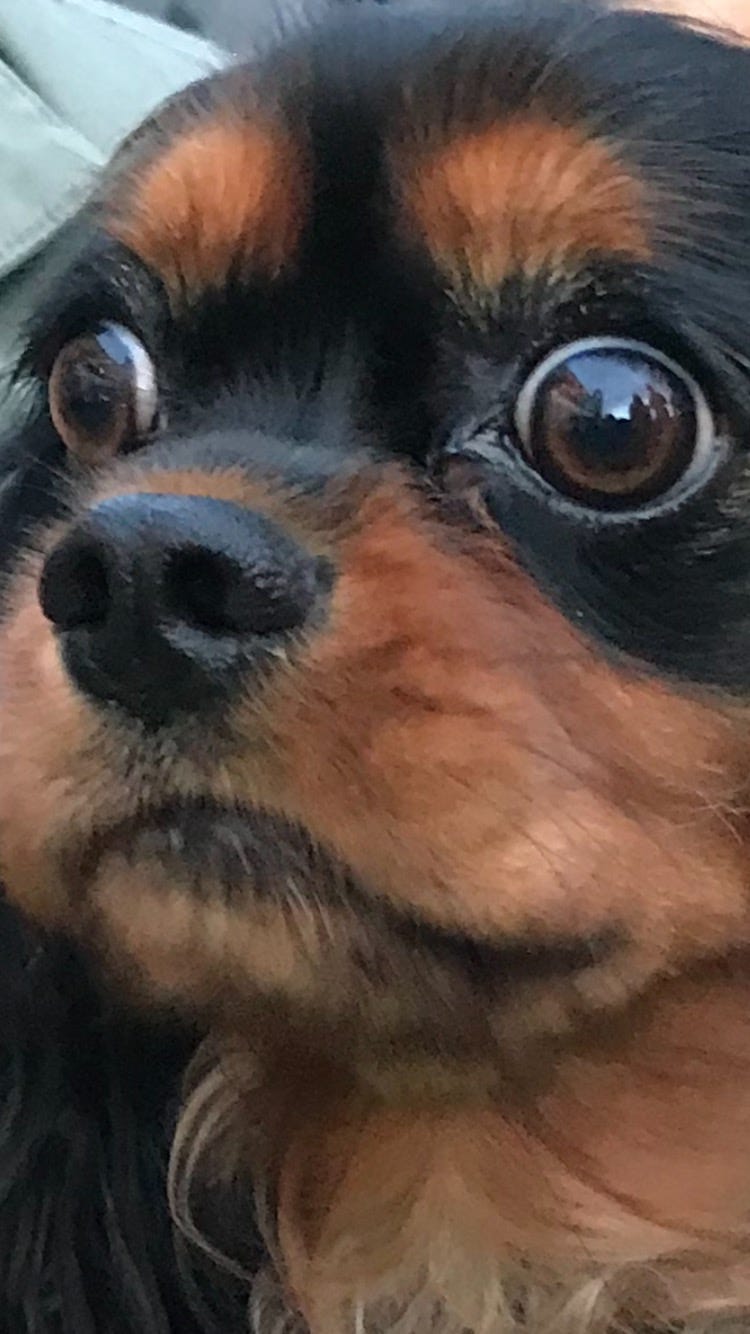 How to Make A Simple Matching Game Using Vanilla JS & CSS | by ...