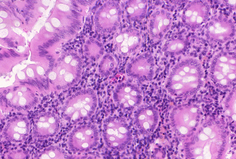 Run c++ program in google colab. Today, we discuss, how to compile and ...