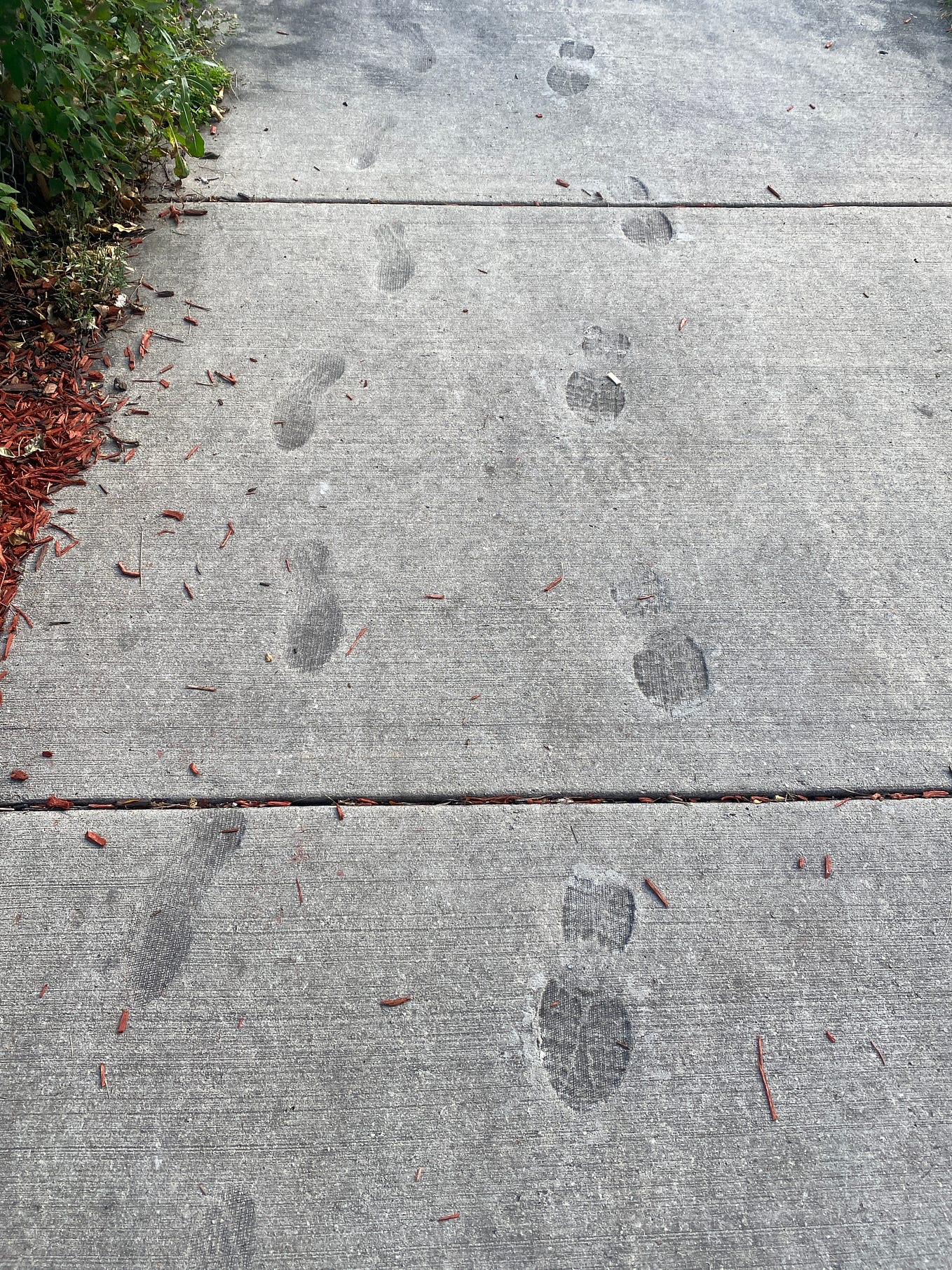 Next Steps. Composition #1 | by Simone Kessler | Walking Chicago: Foot ...