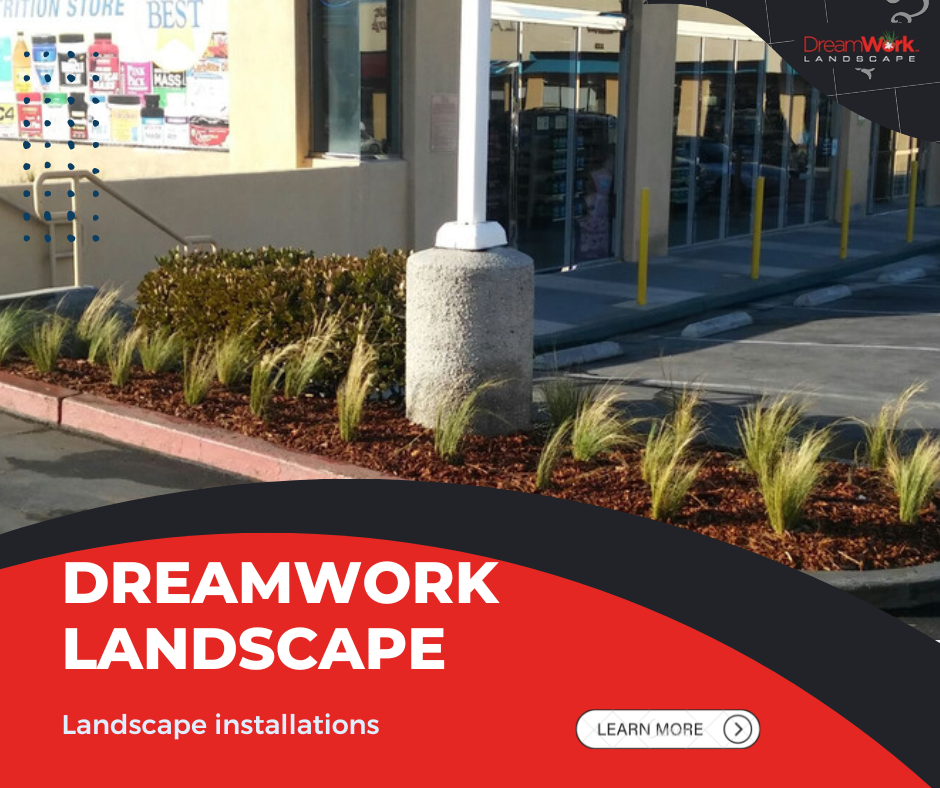 Transforming Outdoor Spaces: Elevate Your Surroundings with DreamWork ...