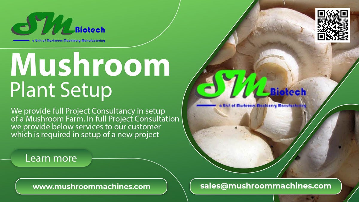Mushroom Equipment Mushroom Machines | by chinmay jain | Sep, 2024 | Medium