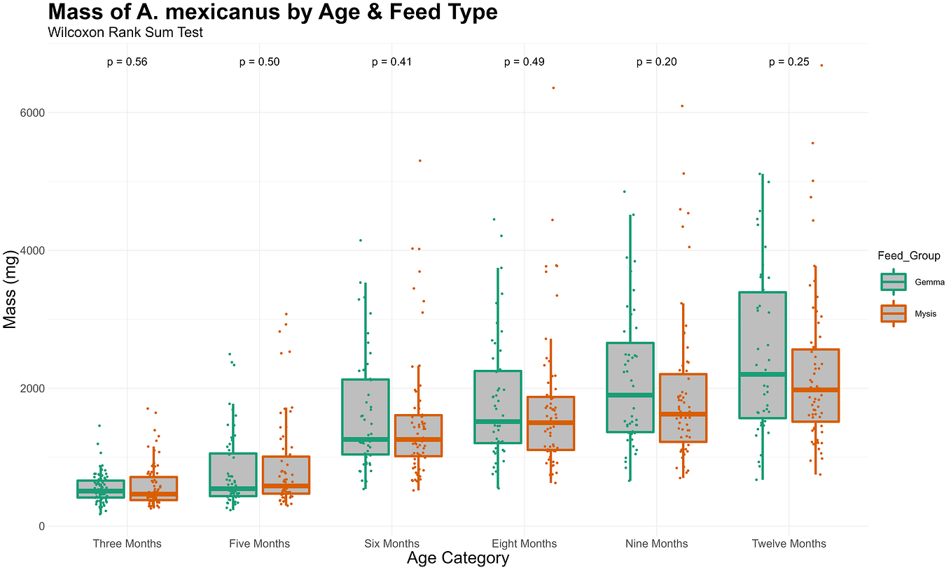A Change in Diet: Fish Food Analysis | by Andrew Ingalls | Medium