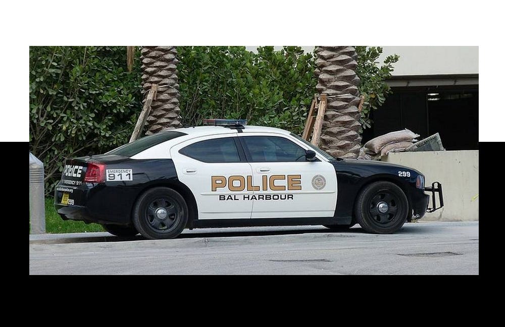 Difference Between Peace Officers and Police Officers: What You Should ...